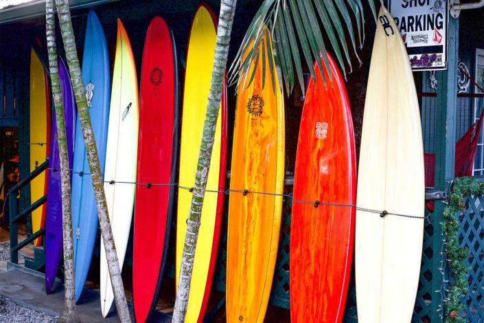 The Surfboard Anatomy - Mondo Surf Village
